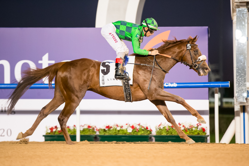 Yasin Taşçı - Tahminler